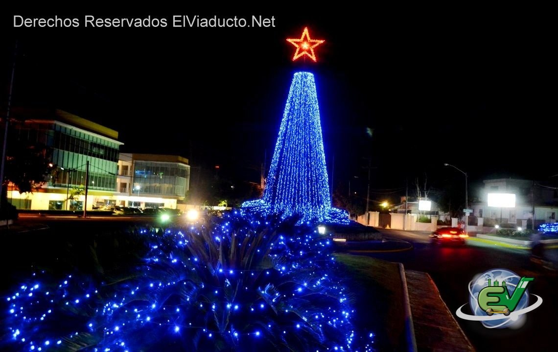 Moca enciende su tradicional Árbol Navideño en la Plaza del Agricultor ...